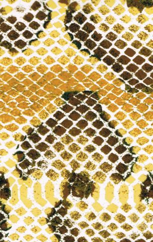 Hydrographics Patterns » Fluid Coatings