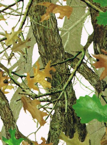 Hydrographics Patterns » Fluid Coatings